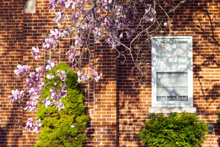 3 Ways to Enhance Your Chicago Home for Spring with Custom Window ...